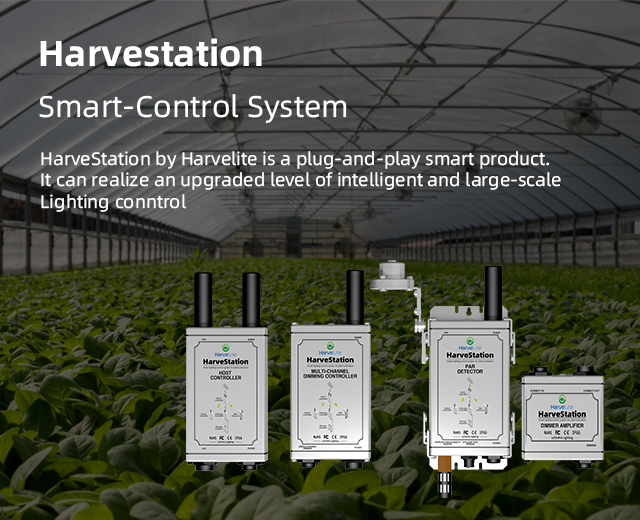 Professional Manufacturer Of Led Grow Light,commercial Lighting,led ...