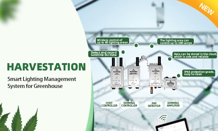 Professional Manufacturer Of Led Grow Light,commercial Lighting,led ...